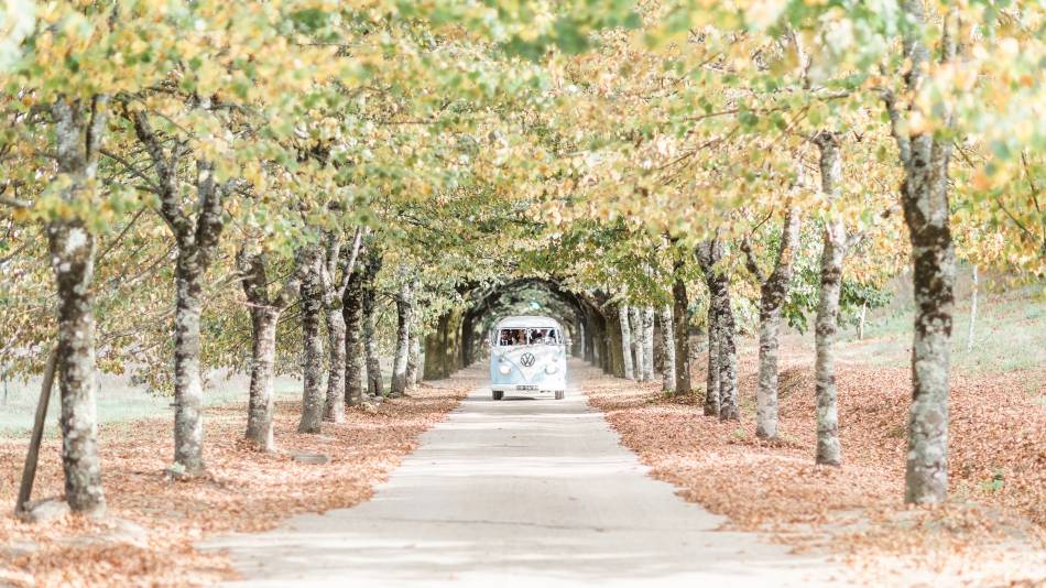 Edgar Dias Photography: um fornecedor seleccionado Simplesmente Branco